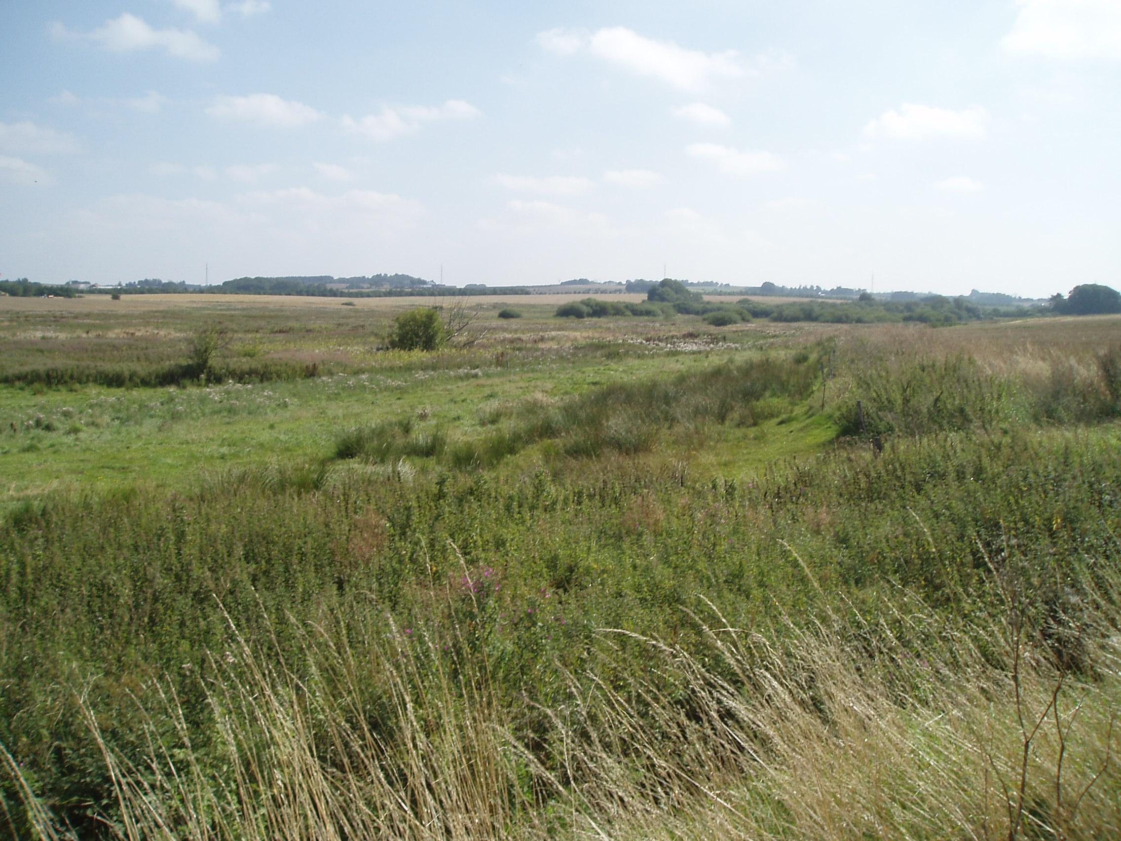 Danmarks Miljøportal